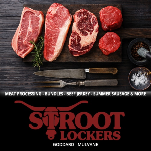 Q&A with Goddard’s Lauryn Gordon – Athlete Spotlight – Presented by ...